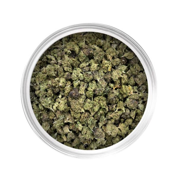 Ztopia - - Hush Herb