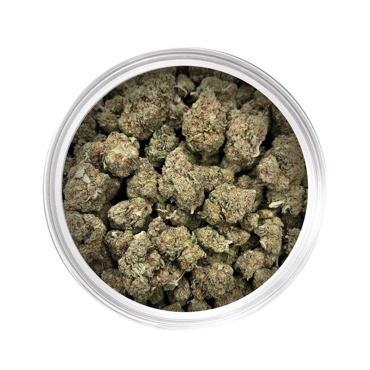Tropicana Cookies - Hush Herb Online Dispensary | Free Shipping